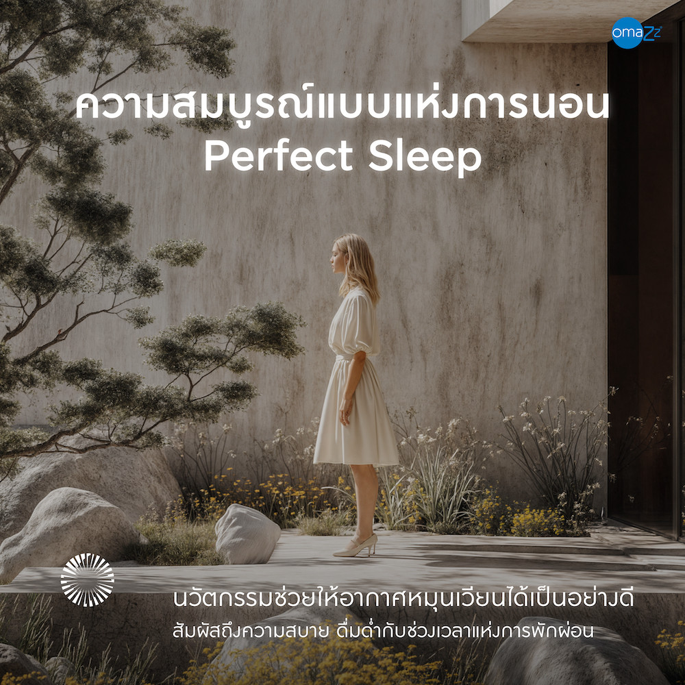 ท็อปเปอร์ Omazz® รุ่น Lux Comfort | Omazz ประเทศไทย