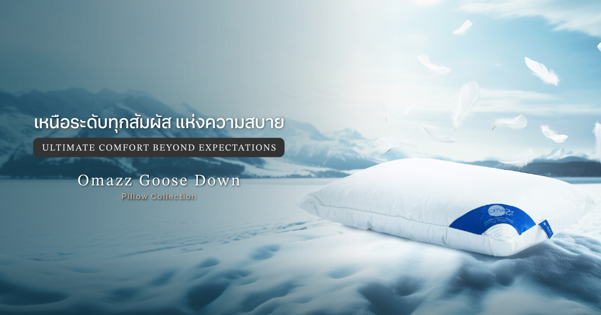 เปรียบเทียบหมอนขนห่าน 3 คอลเลคชั่นจาก Omazz® – เลือกหมอนที่ใช่เพื่อการนอนที่สมบูรณ์แบบ