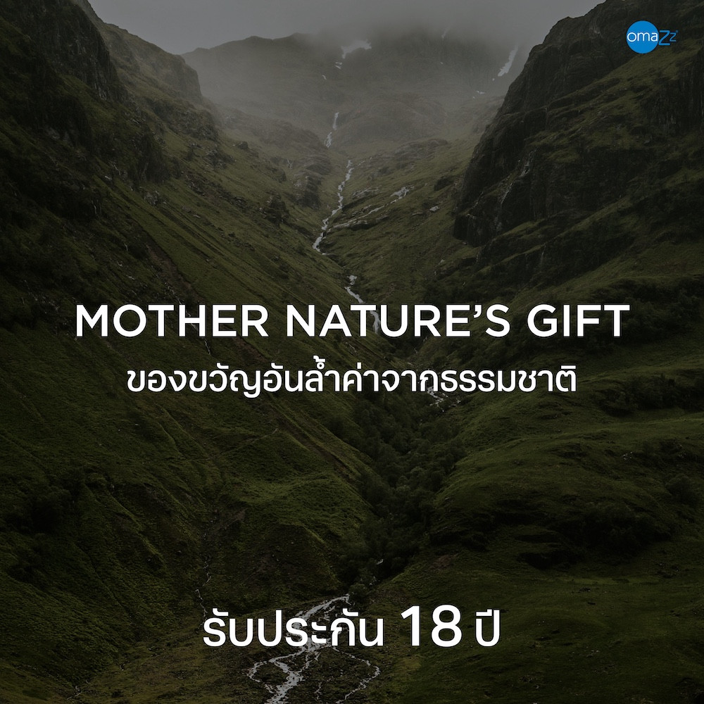 ที่นอน Omazz® รุ่น Royal Frank Monte | Omazz ประเทศไทย