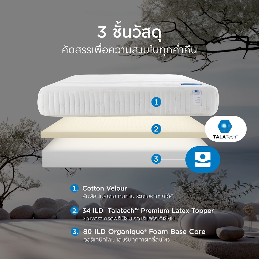 ที่นอน Omazz® รุ่น Fessential | Omazz ประเทศไทย