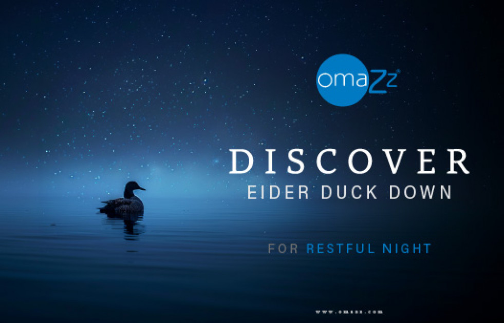 Discover 'EIDER DUCK DOWN' For Restful Night